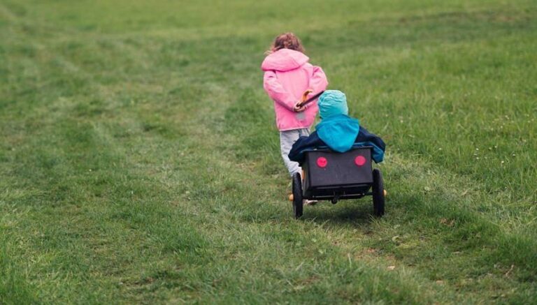 The 8 Best Hiking Trailers (Updated 2025) - Outdoor Shell