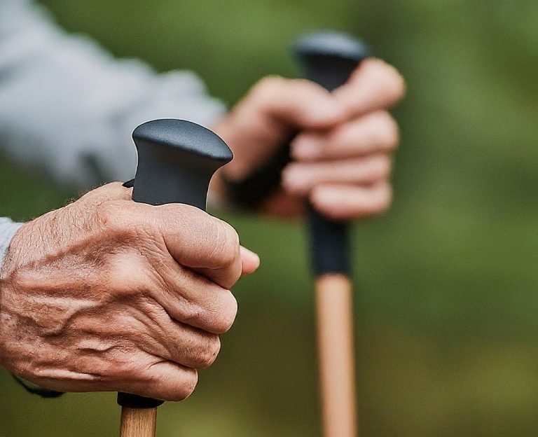 The 5 Best Trekking Poles for Seniors - Outdoor Shell